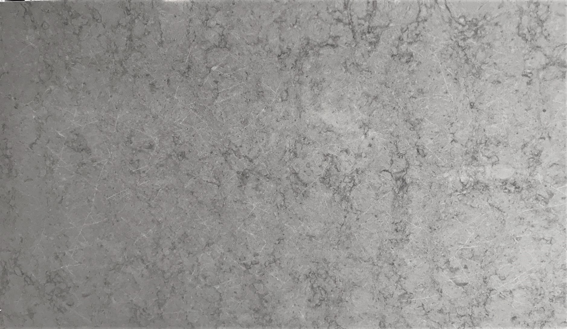 5133 Symphony Grey - CaesarHansa